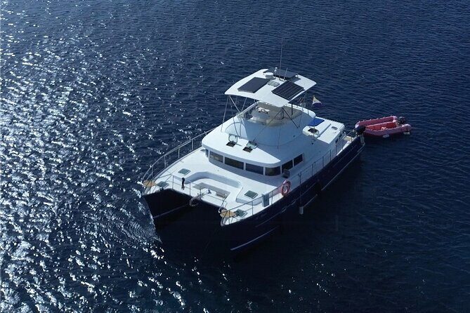 Snorkel and Brunch Tour Explore Bonaire's Underwater Paradise - Practical Tips for Your Trip