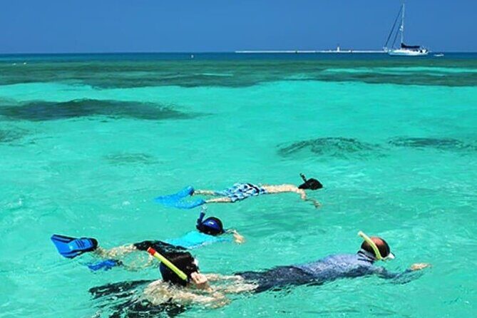 Snorkel and Private Tour in Montego Bay - Practical Tips for Booking and Participating