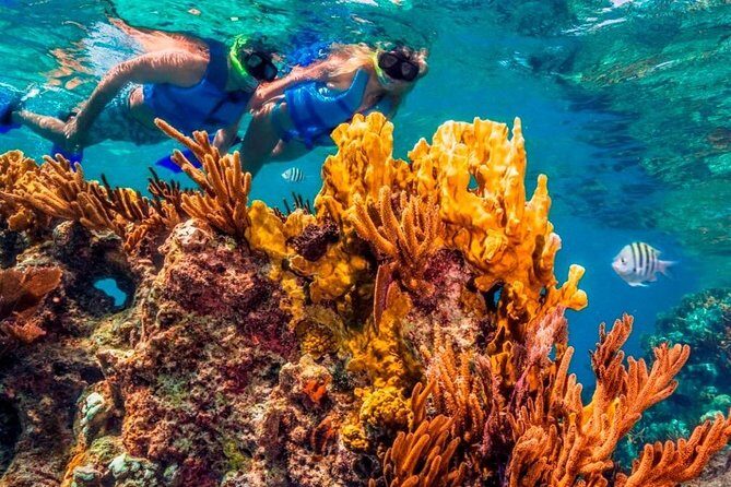 Snorkel and swim in Cozumel el Cielo Reef, Palancar and Colombia - The Experience: What You Should Expect