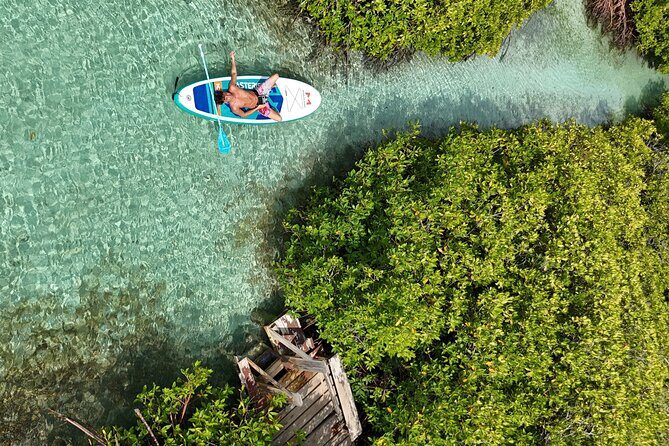 Snorkel Aruba's Vibrant Waters and Serene Mangroves Private Tour - Detailed Breakdown of the Itinerary