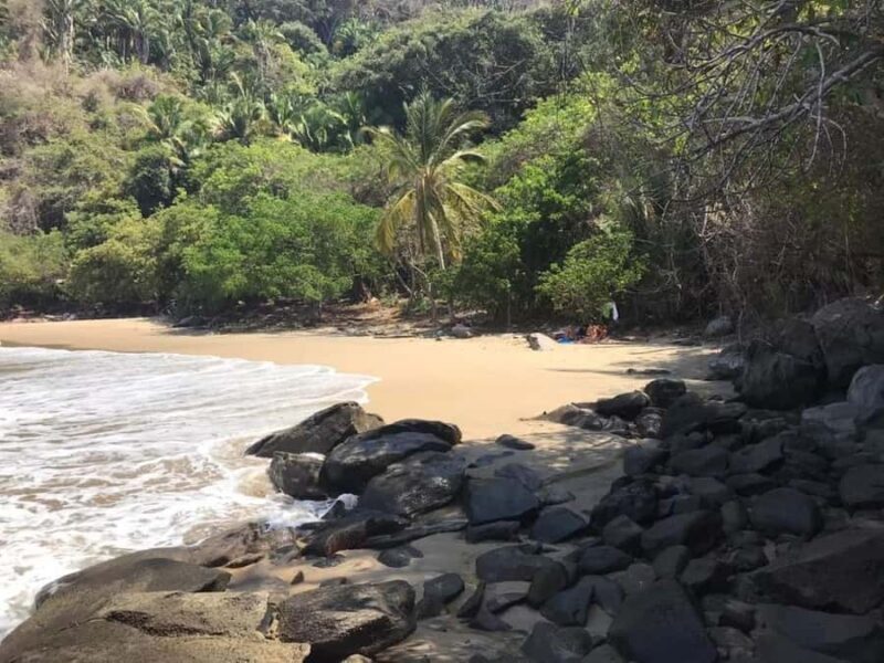 Snorkel at Playa del Toro, leaving from Sayulita: a day at the beach - An Overview of the Playa del Toro Snorkeling Tour