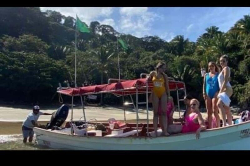 Snorkel at Playa del Toro, leaving from Sayulita: a day at the beach - Wildlife Encounters and Seasonal Highlights