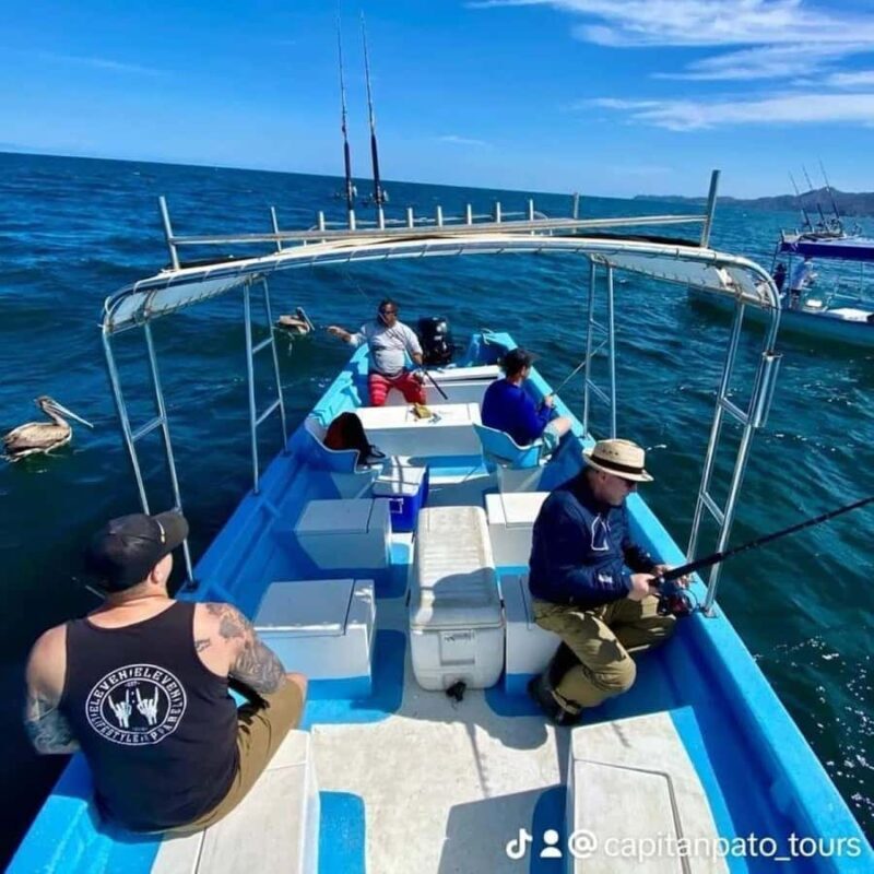 Snorkel at Playa del Toro, leaving from Sayulita: a day at the beach - The Sum Up