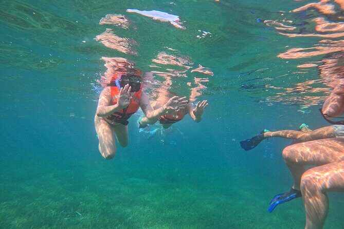 Snorkel at the Reef 2 HOURS Puerto Morelos National park - Frequently Asked Questions