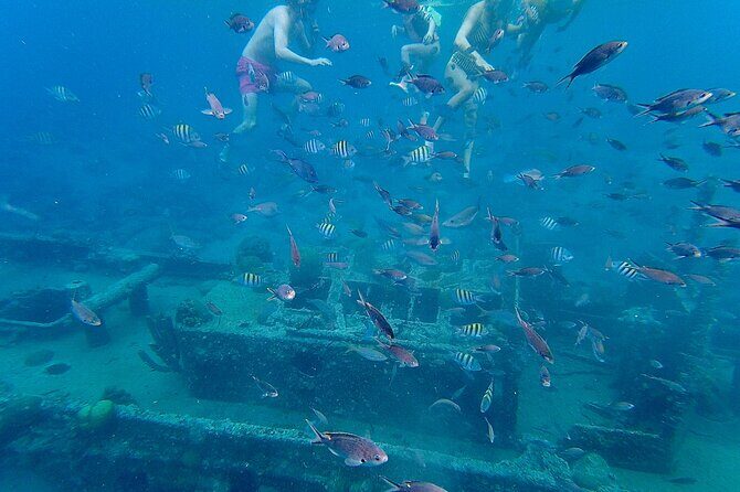 Snorkel boat trip: Sunken ship, old dutch fort & spanish bay - Who Will Love This Tour?