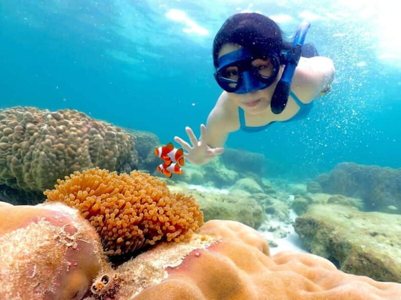 Snorkel & Chill: Nemo Island Trip from Pattaya - Key Points