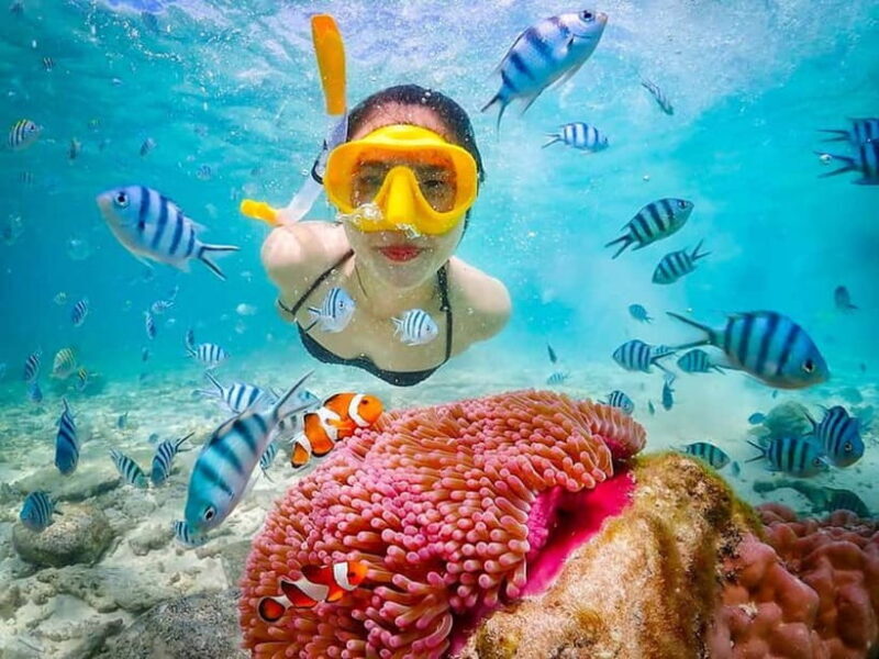 Snorkel & Chill: Nemo Island Trip from Pattaya - Practical Tips for Your Trip
