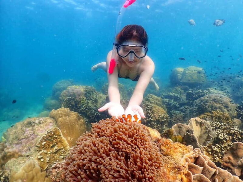 Snorkel & Chill: Nemo Island Trip from Pattaya - Who Will Love This Tour?