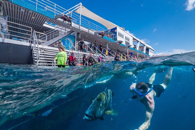 Snorkel & Dive the Reef: Sustainable, Scientific & Cultural Tour - An Introduction to the Tour Experience