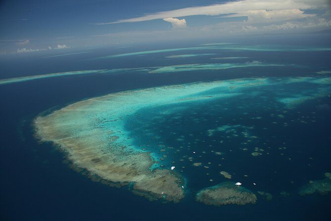 Snorkel & Dive the Reef: Sustainable, Scientific & Cultural Tour - Final Thoughts: Who Is This Tour Best For?
