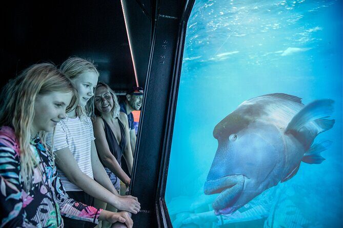 Snorkel & Dive the Reef: Sustainable, Scientific & Cultural Tour - FAQ