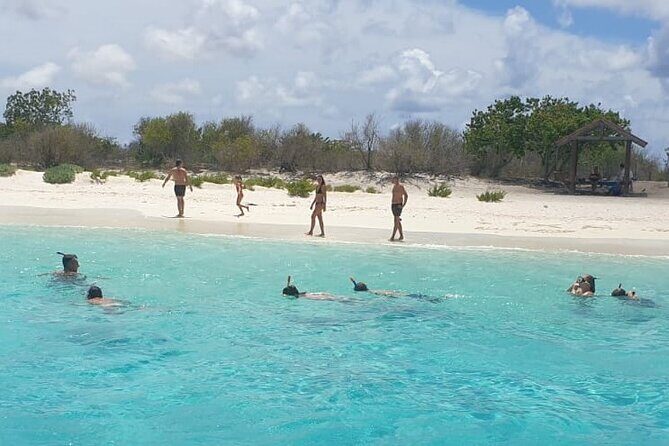 Snorkel Experience in Bonaire - Handling the Logistics