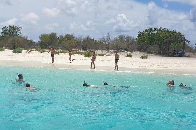 Snorkel Experience in Bonaire - The Sum Up