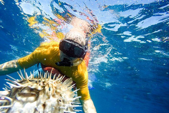 Snorkel & Explore Pelican Rock by Glass Boat + Photos - Value and Budget Considerations