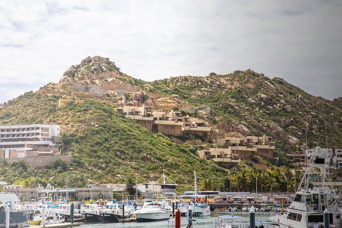 Snorkel & Explore Pelican Rock by Glass Boat + Photos - Who Is This Tour Best For?