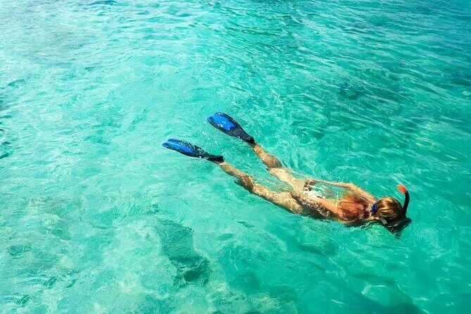 Snorkel Fort Lauderdale Jean Cousteaus Reef and Snorkel Trail - A Close Look at the Snorkel Trail Adventure