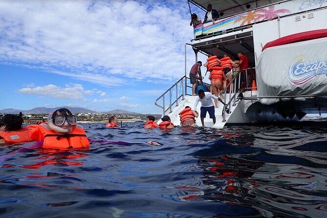 Snorkel Fun with Lunch in Cabo Explore Eat and Enjoy - Discovering Cabo San Lucas’s Underwater and Coastal Marvels