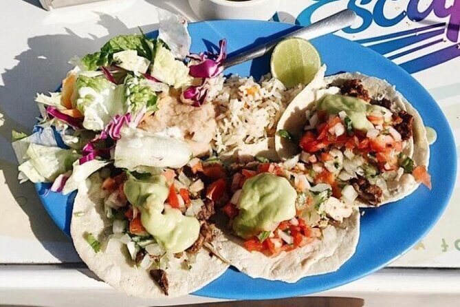 Snorkel Fun with Lunch in Cabo Explore Eat and Enjoy - The Sum Up