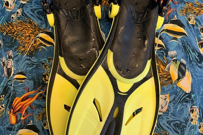 Snorkel Gears near Hanauma Bay - The Sum Up