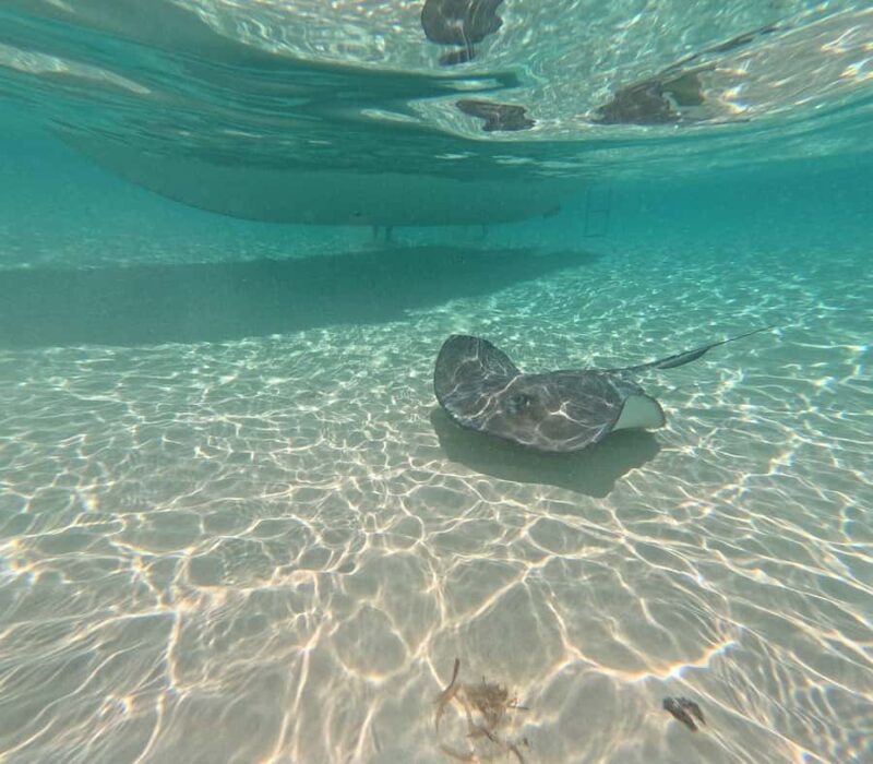 Snorkel in Cozumel and visit El Cielo - FAQ