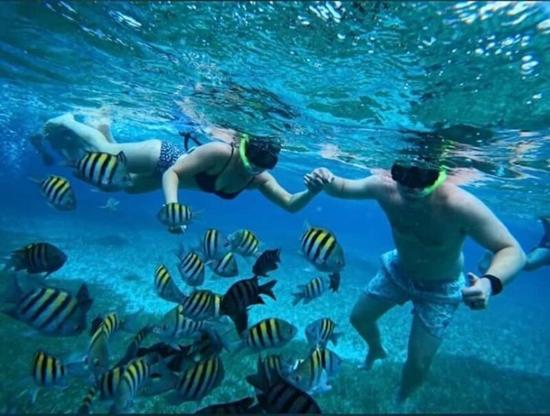 Snorkel in Cozumel and visit to El Cielo - Key Points