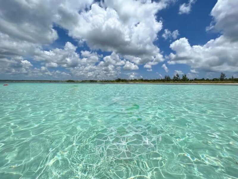 Snorkel in Cozumel and visit to El Cielo - The Experience: A Closer Look at the Itinerary
