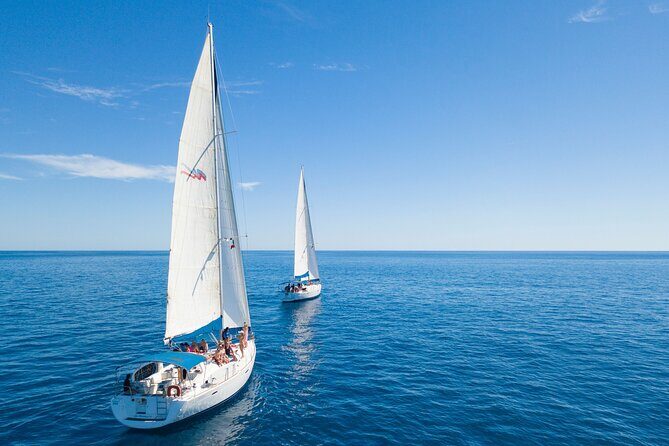 Snorkel in Luxury Sailing Boat + Food and Premium drink! - Final Thoughts