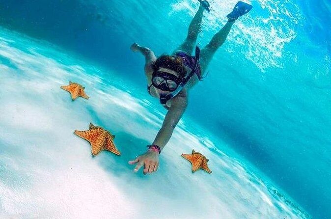 Snorkel in Paradise Cozumel El Cielito Palancar Reef Colombia - Real Traveler Feedback