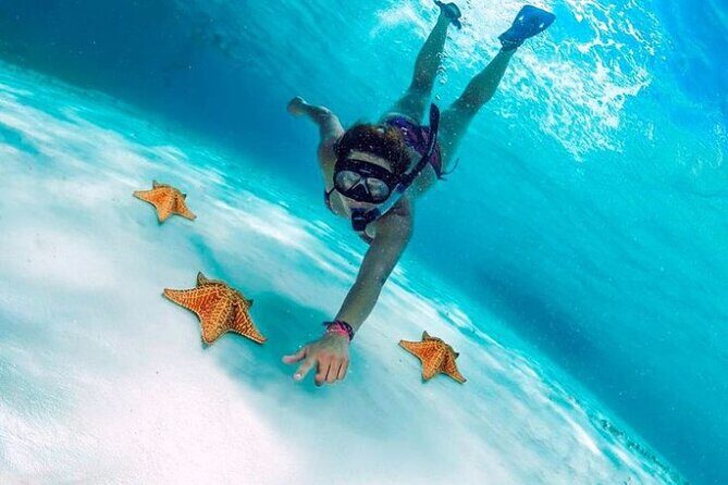 Snorkel in Paradise Cozumel El Cielito Palancar Reef Colombia - The Sum Up