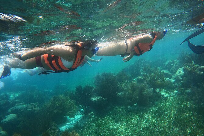 Snorkel in the beautiful reef of Puerto Morelos with transport - A Practical Look at This Snorkeling Tour