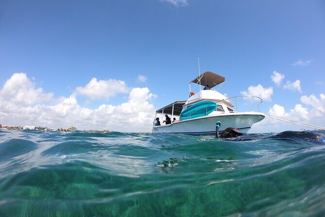 Snorkel in the beautiful reef of Puerto Morelos with transport - Who Should Consider This Tour?