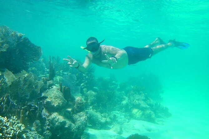 Snorkel in the Costa Maya Reef and Rest on the Beach - Analyzing the Value: Price vs. Experience
