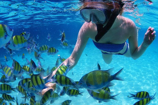 Snorkel in the second largest reef in the world Colorful tour in Puerto Morelos - A Closer Look at the Logistics