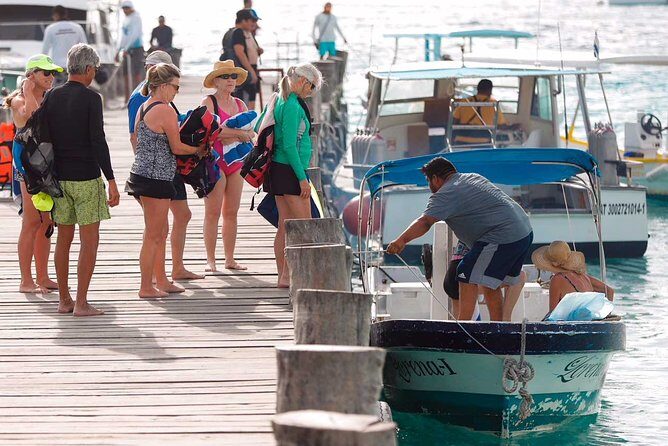 Snorkel in the turquoise Caribbean Sea in Puerto Morelos. Transport included - Pricing and Value Analysis