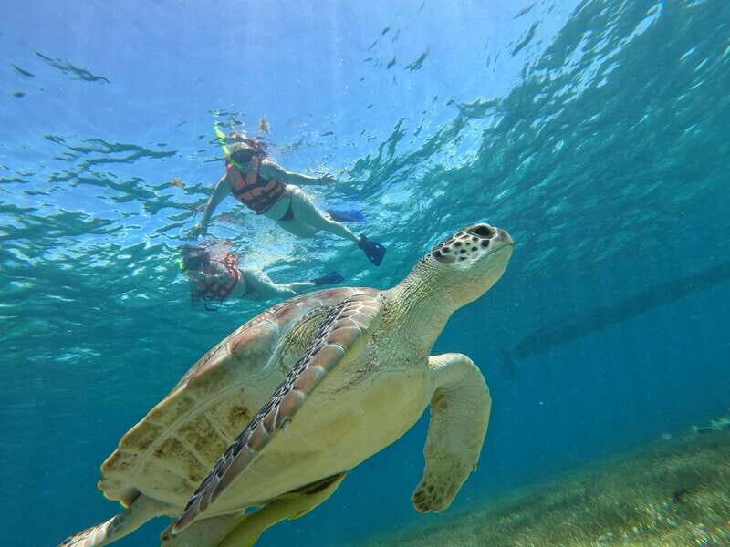 SNORKEL IN TULUM REEF, BOAT RIDE AND CALETA - An In-Depth Look at the Tour Experience