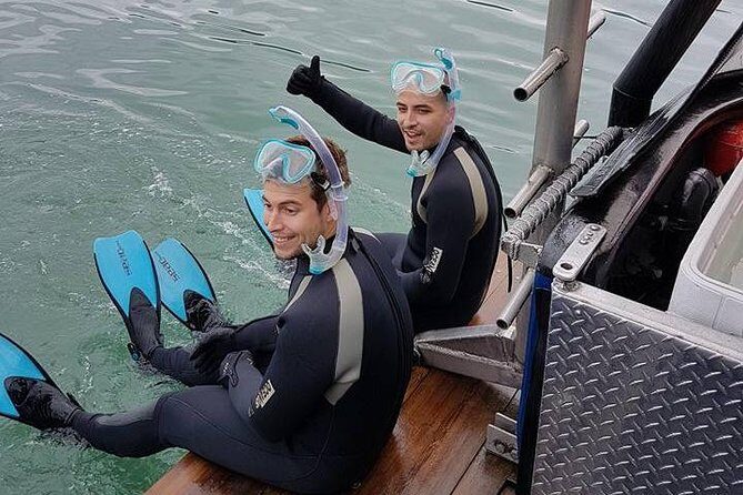 Snorkel, Kayak, and Seal Adventure: Vancouver Boat Tour - FAQ