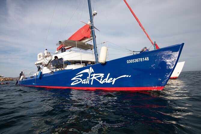 Snorkel, Lunch & Sail in Cabo San Lucas - Arriving & Boarding: Starting Your Adventure