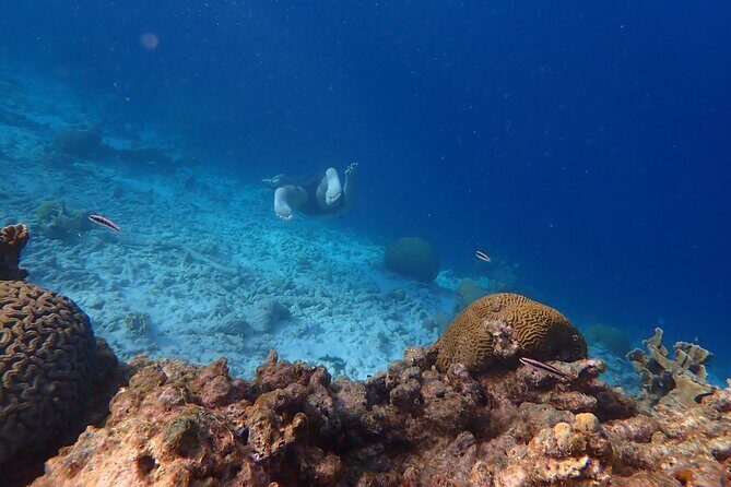 Snorkel marathon - Key Points