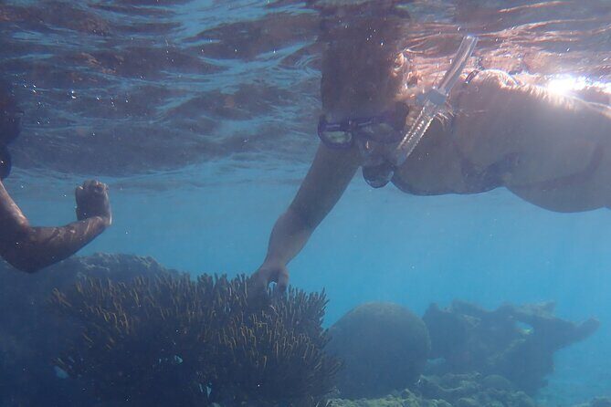 Snorkel marathon - The Itinerary in Detail