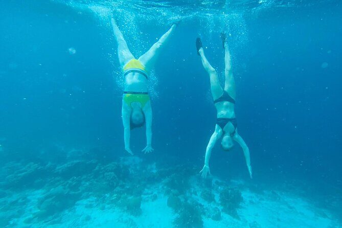 Snorkel marathon - How Does It Compare to Other Tours?