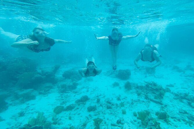 Snorkel marathon - FAQs