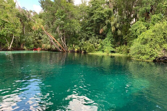 Snorkel Or Dive The Amazing Rainbow River Florida - Final Thoughts: Is It Worth Your Time?