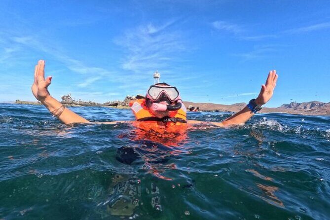 Snorkel or Sunset in La Paz aboard a 42 feet Yacht - An Intro to the La Paz Yacht Experience