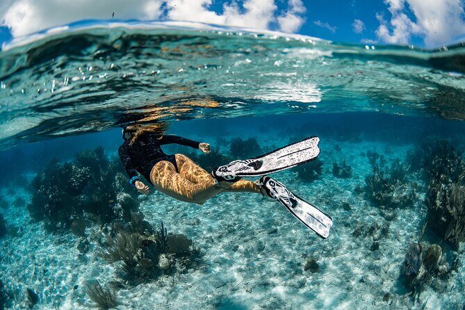 Snorkel Rental 24h, discover Tenerifes Ocean on your own! - Key Points