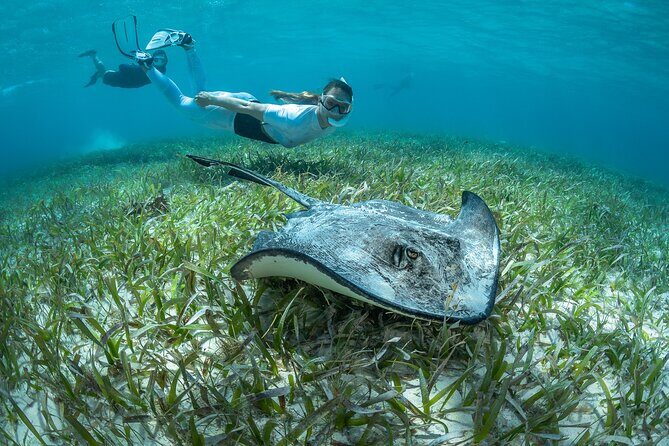 Snorkel Rental 24h, discover Tenerifes Ocean on your own! - Equipment and What’s Included