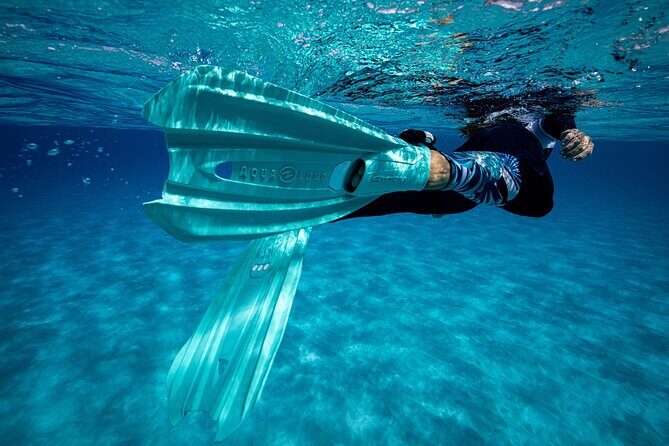 Snorkel Rental 24h, discover Tenerifes Ocean on your own! - Authentic Experiences and Positive Reviews