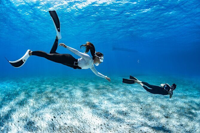 Snorkel Rental 24h, discover Tenerifes Ocean on your own! - Pricing and Value
