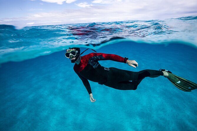 Snorkel Rental 24h, discover Tenerifes Ocean on your own! - Who Will Love This Experience?