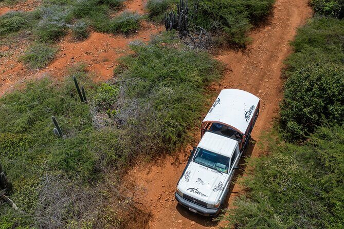 Snorkel Safari Tour - What to Expect from the Snorkel Safari Tour