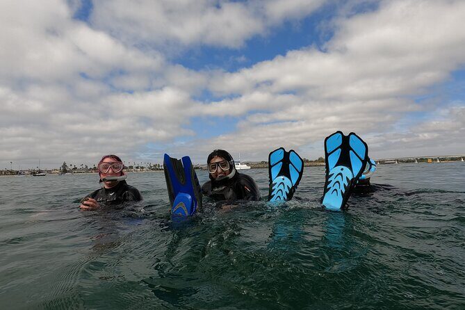 Snorkel San Diego's Mission Bay with a Marine Biologist - What Do Travelers Say?